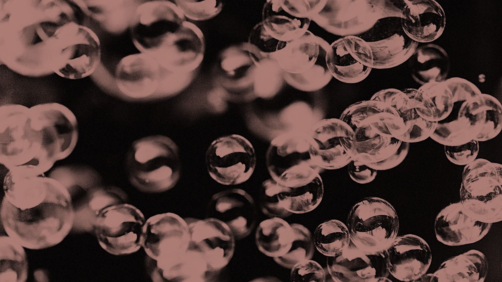 Virtue & Holiness – ScriptureFix